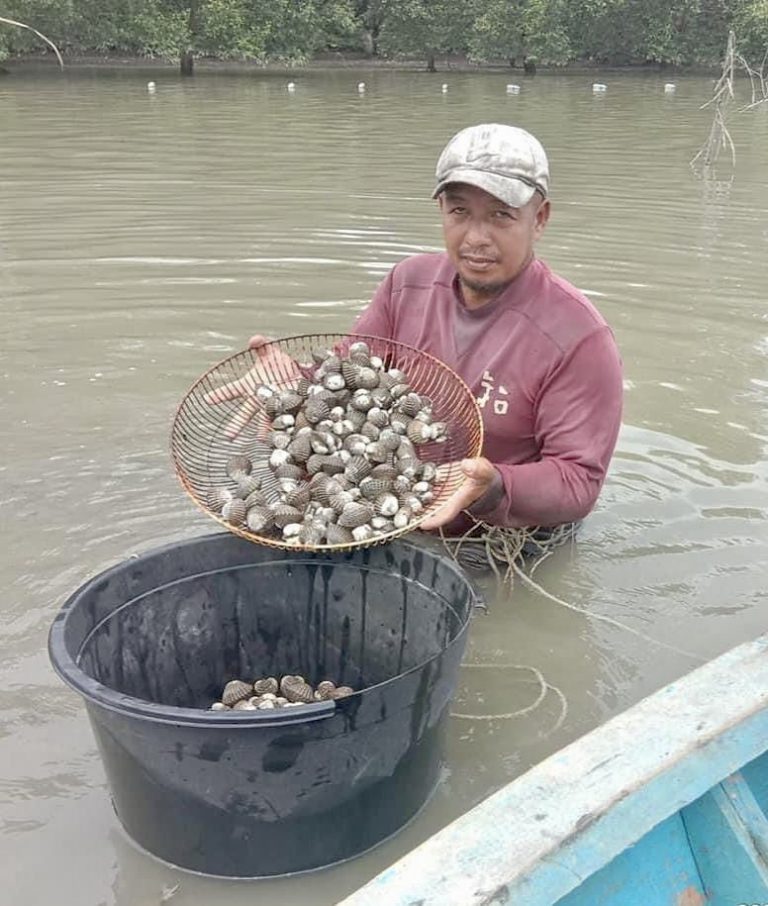 Komuniti nelayan Kampung Keniogan Beluran jadi mangsa projek ‘sakit ...
