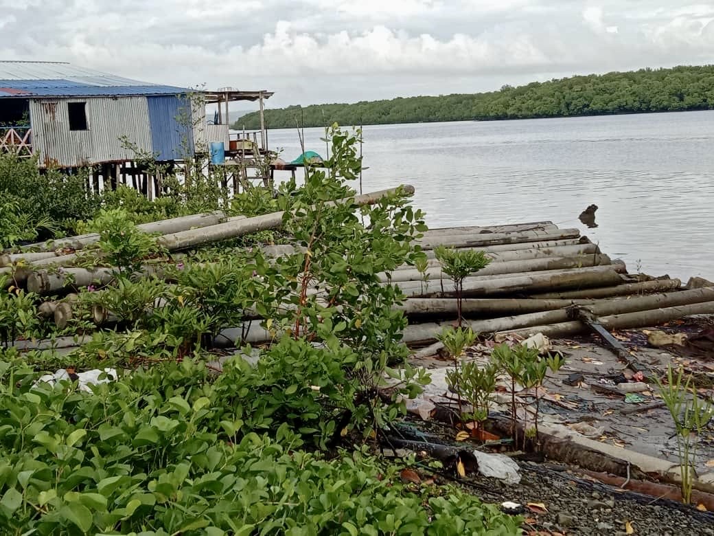 Komuniti nelayan Kampung Keniogan Beluran jadi mangsa projek ‘sakit ...